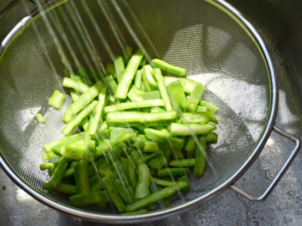Breakfast cactus burrito with roasted hatch chiles
