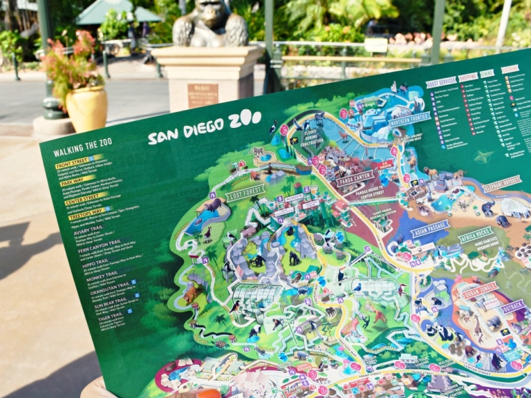 San Diego Zoo Tips for First Time Visitors