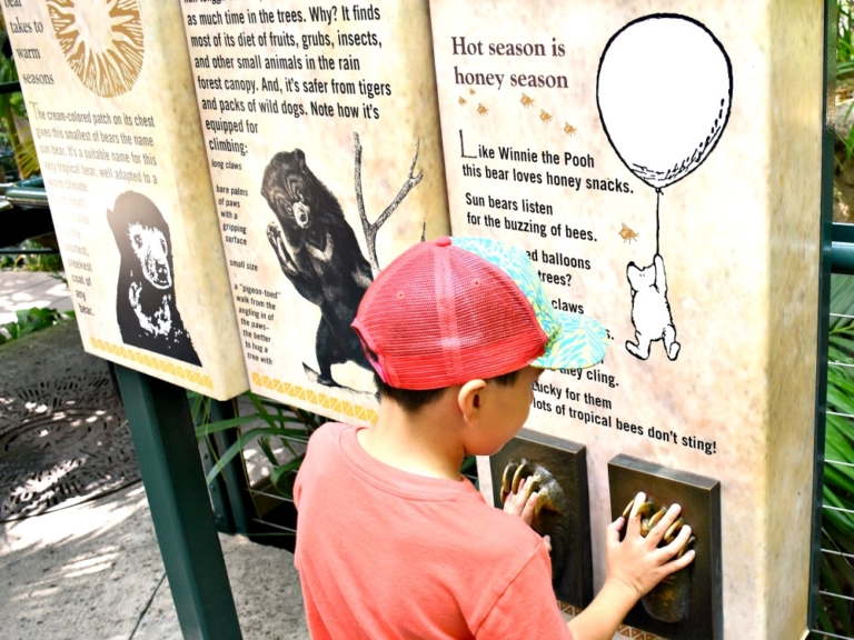 San Diego Zoo Tips for First Time Visitors