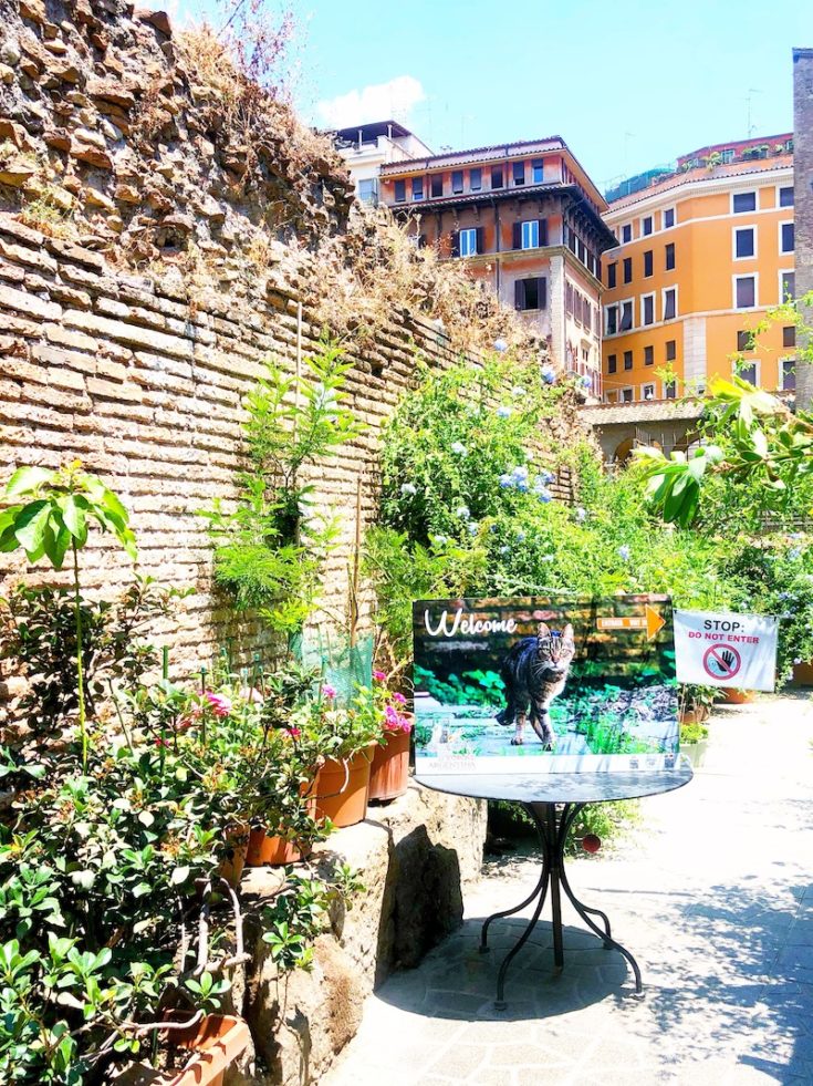 Torre Argentina cat sanctuary in Rome by Orange County guide for families