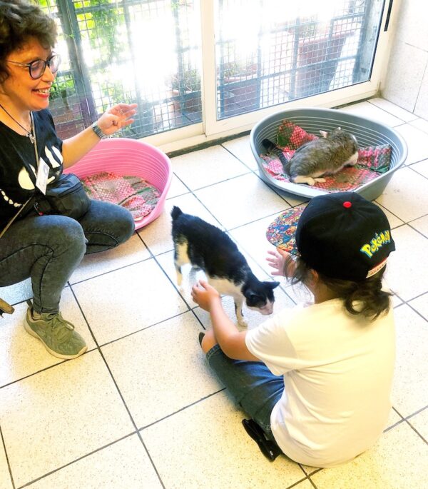 Torre Argentina cat sanctuary in Rome by Orange County guide for families