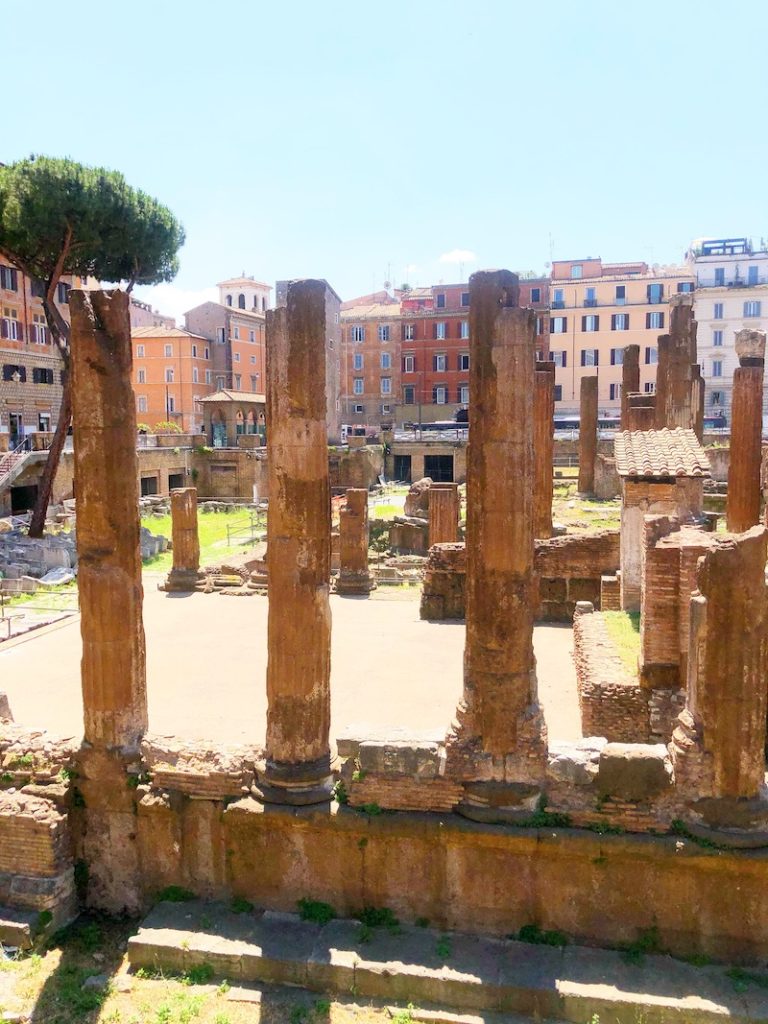 Torre Argentina cat sanctuary in Rome by Orange County guide for families