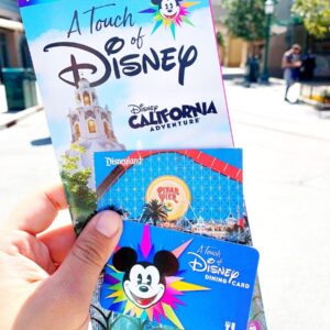 New Latina Disney Princess : what you need to know - Orange County ...