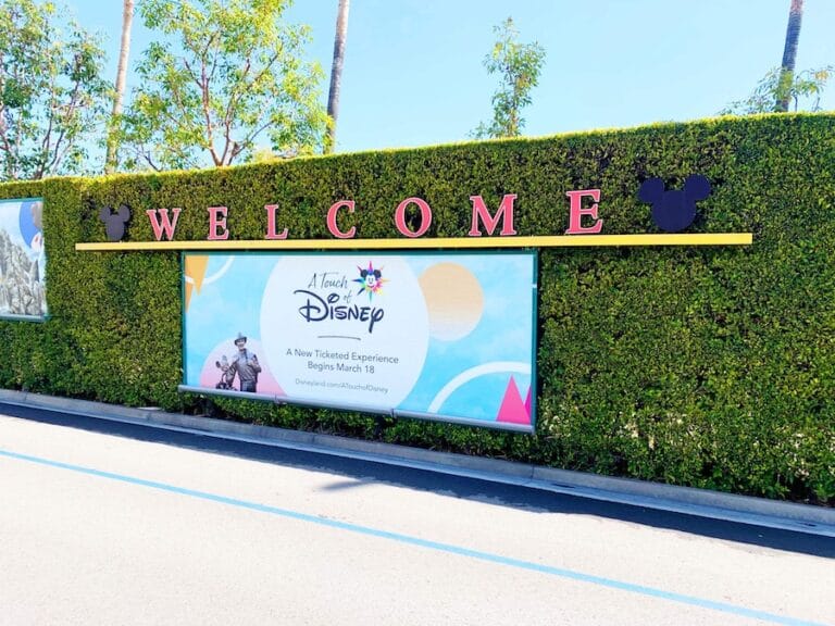 9 things you need to know about A Touch of Disney - Orange County tips ...