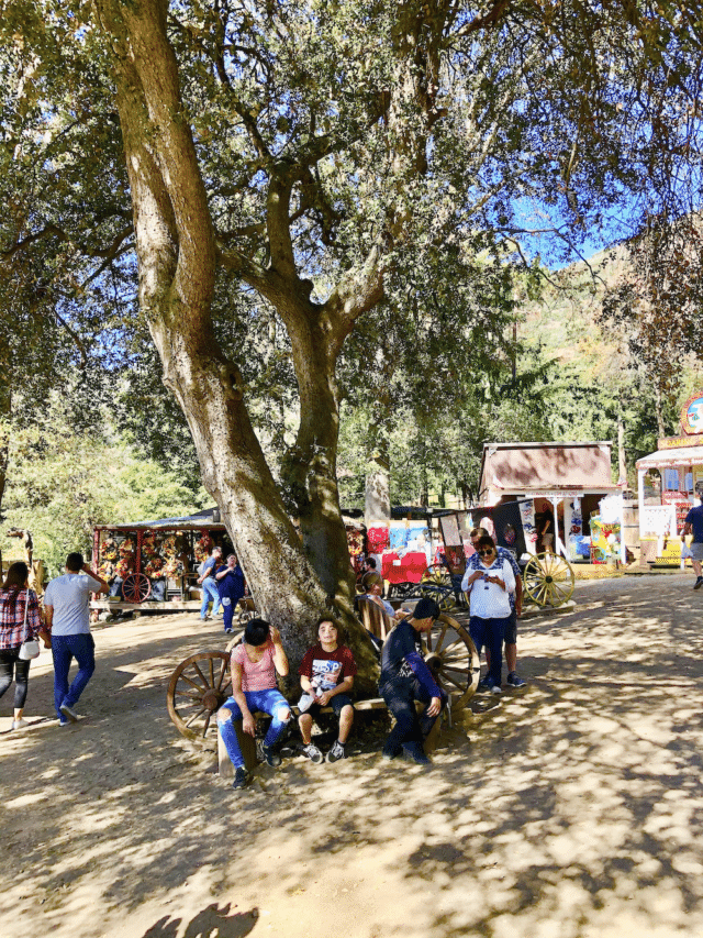 Apple picking in Oak Glen at Riley's Apple Farm