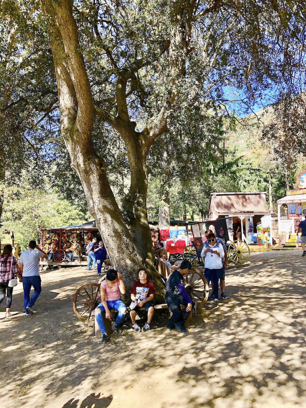 Apple picking in Oak Glen at Riley's Apple Farm