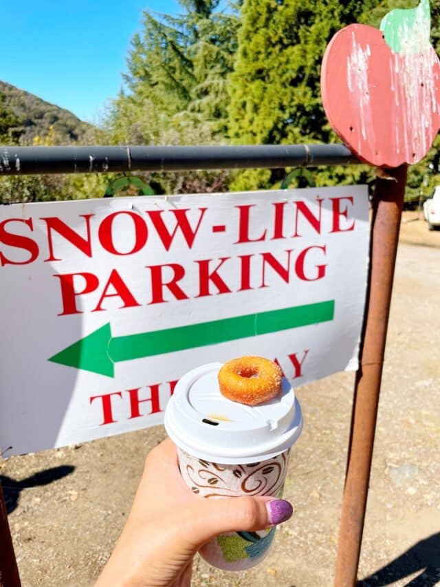 Apple picking in Oak Glen at Riley's Apple Farm