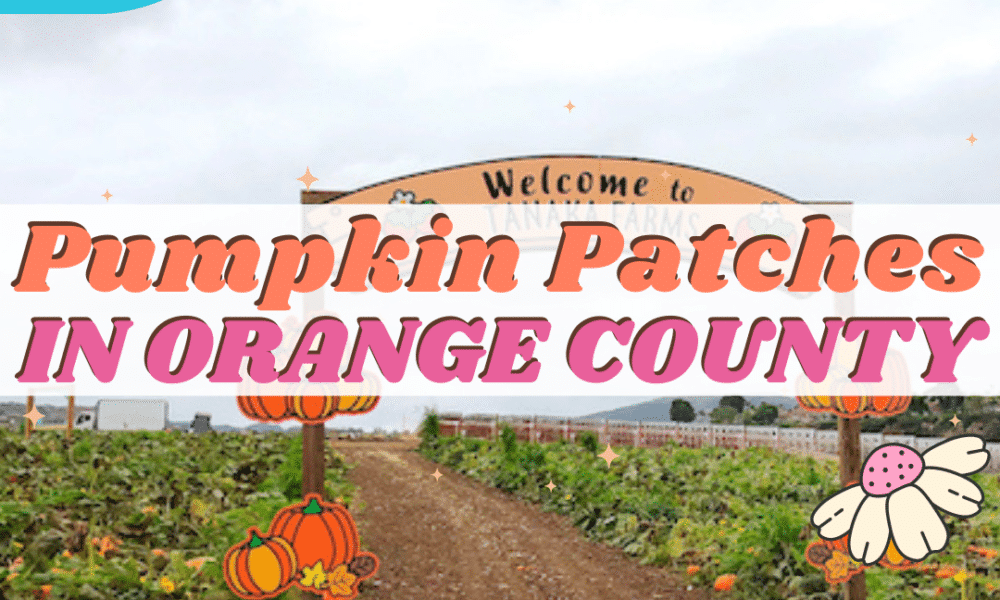 Fall events in Orange County 2022 - Orange County guide for families