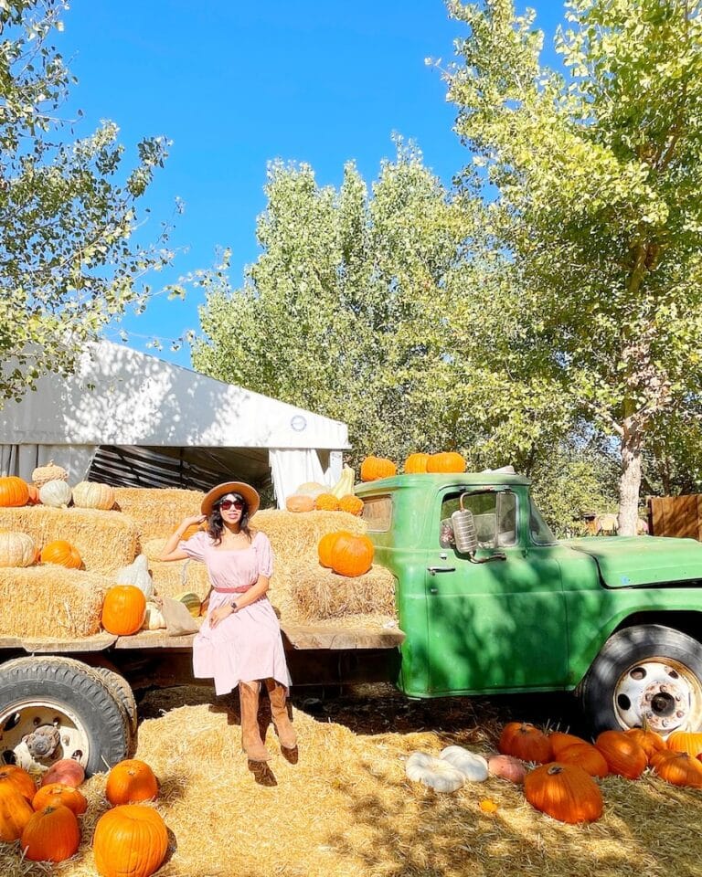 Live Oak Canyon Pumpkin Patch : Biggest pumpkin patch in Southern ...