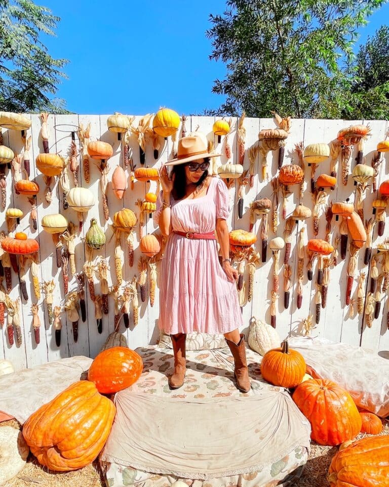 Live Oak Canyon Pumpkin Patch : Biggest pumpkin patch in Southern ...