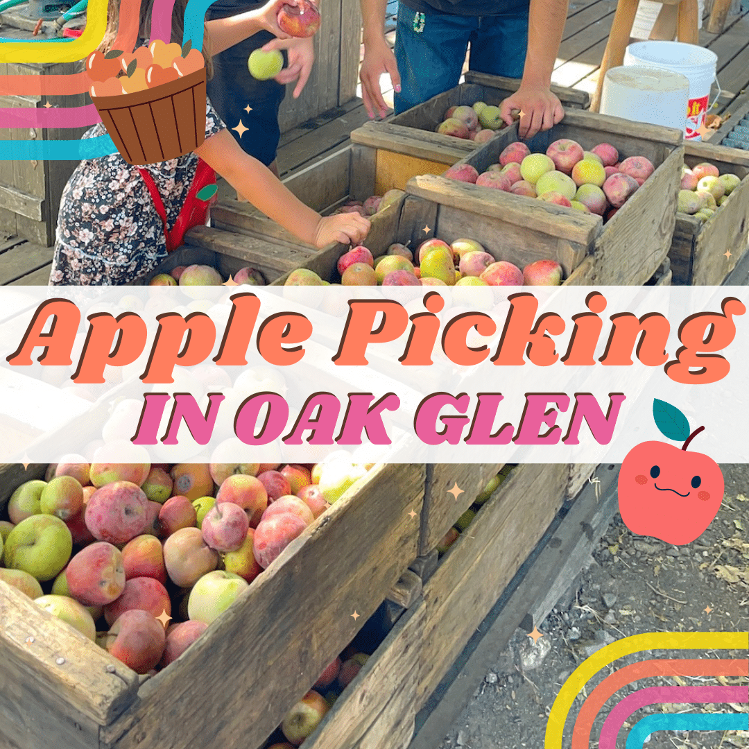 Make your own apple cider in Oak Glen